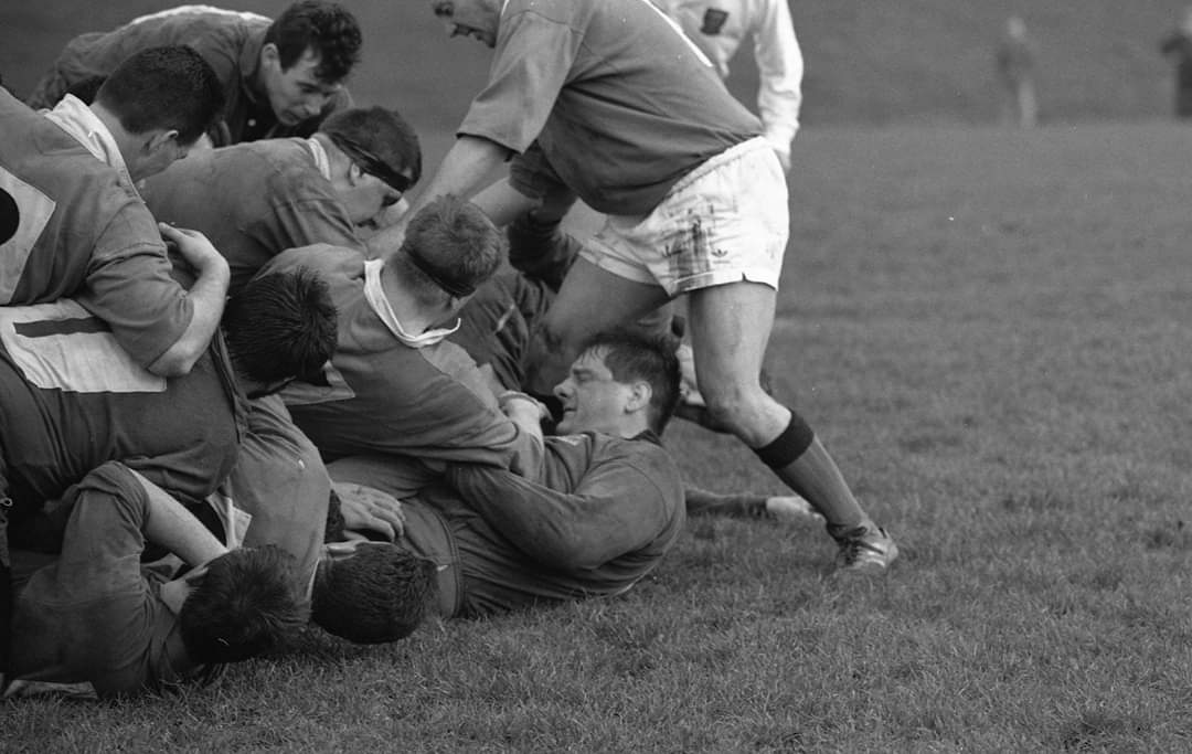 Photo Gallery – Portadown Rugby Football Club